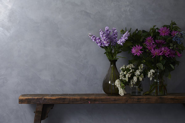 Fresco Plaster – Sydney Harbour Paint Co.