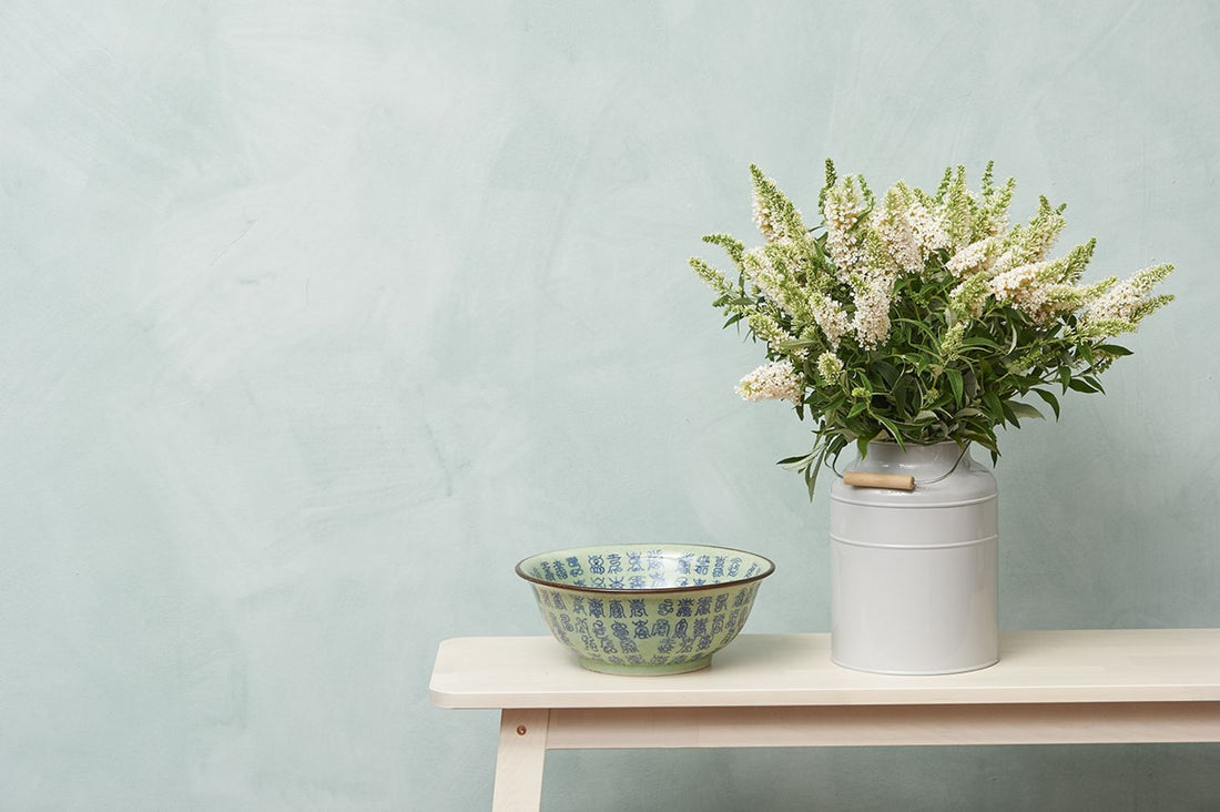 Lime Wash – Sydney Harbour Paint Co.